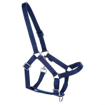 Holzpferde, Pferdespiele & Spielzeug für Kinder | backwinkel.de