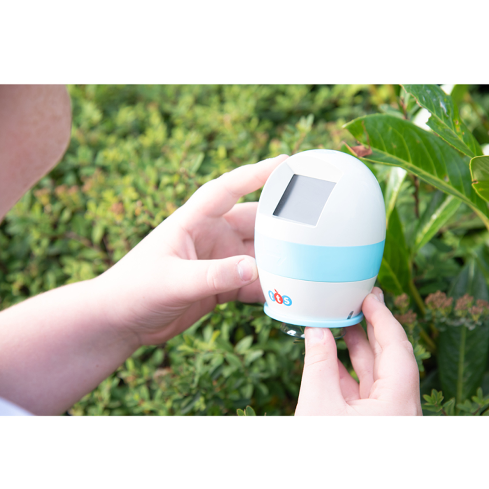 Easi-Scope-Mikroskop günstig online kaufen bei BACKWINKEL