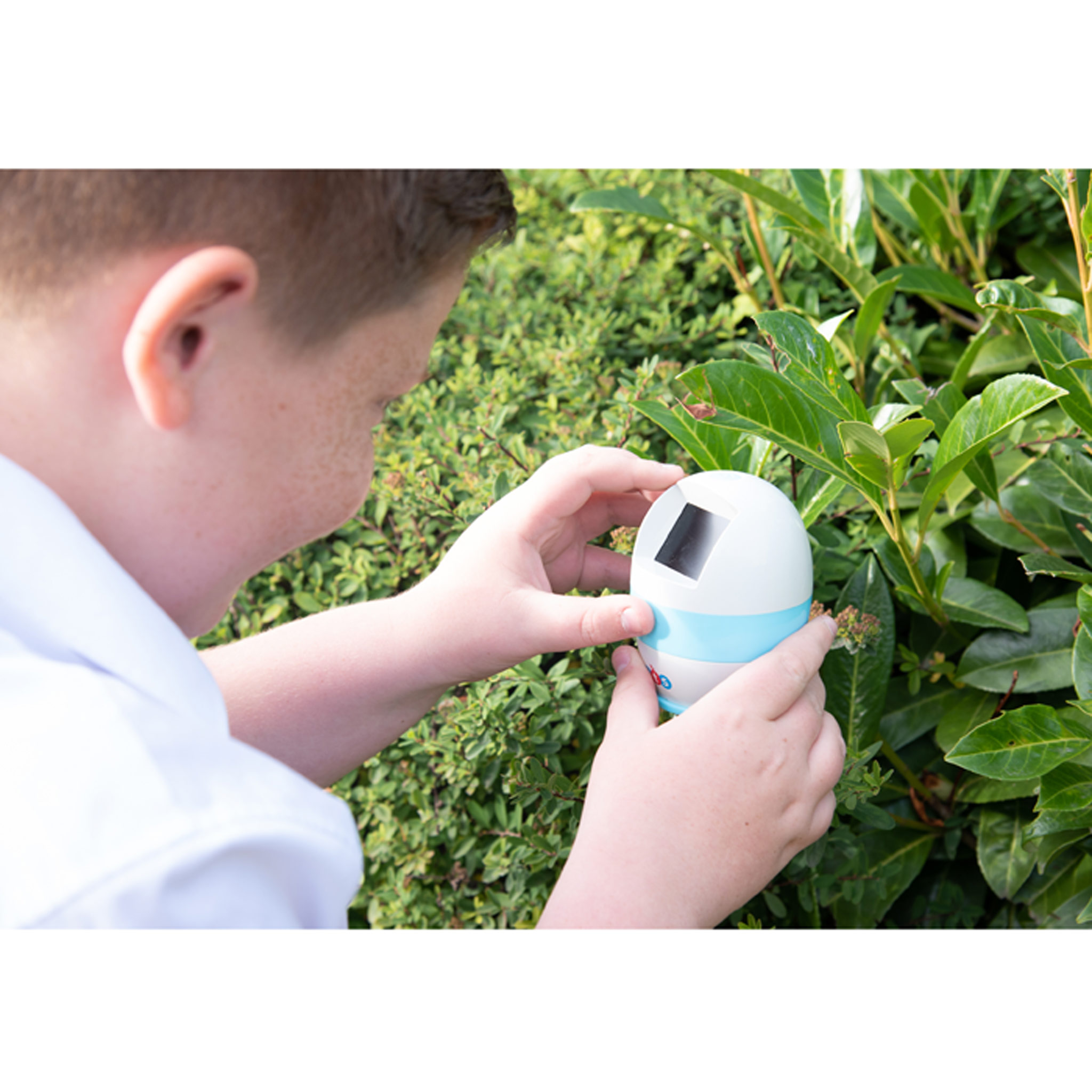 Easi-Scope-Mikroskop günstig online kaufen bei BACKWINKEL