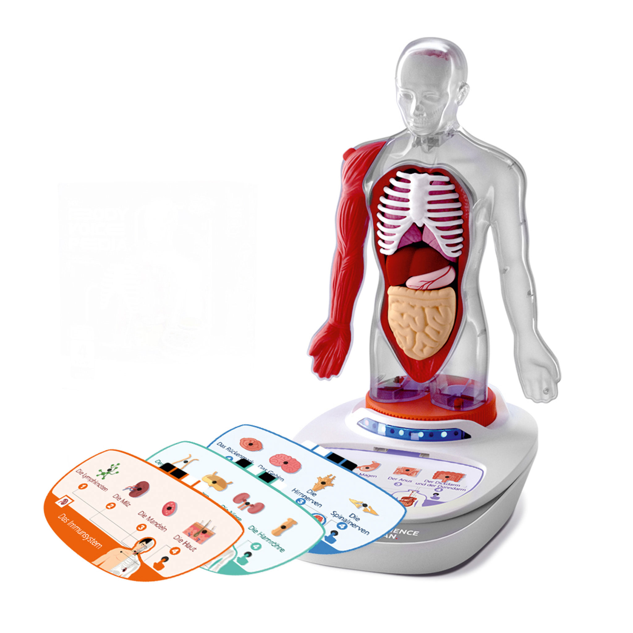 Mein Körper - eine Wissensreise mit Quiz und Sound